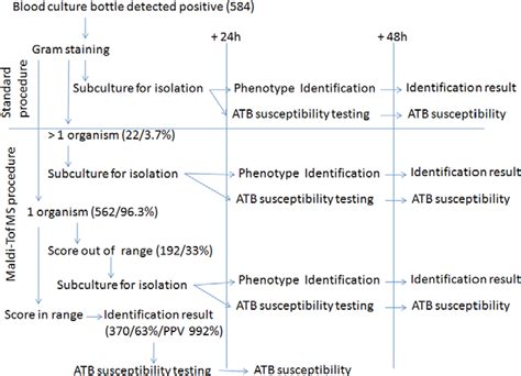 Bacterial Identification Semantic Scholar