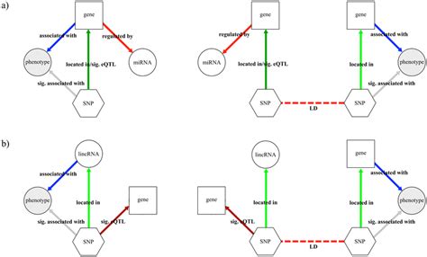 A Graphical Model For Mirna Eqtl Association Networks A Graphical Download Scientific