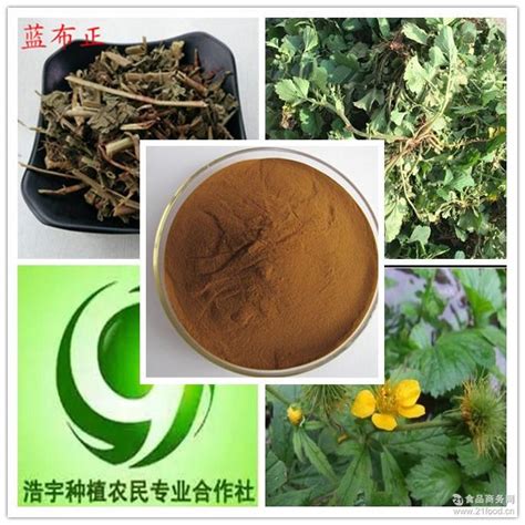 蓝布正大样图 样图图片 样图 大山谷图库