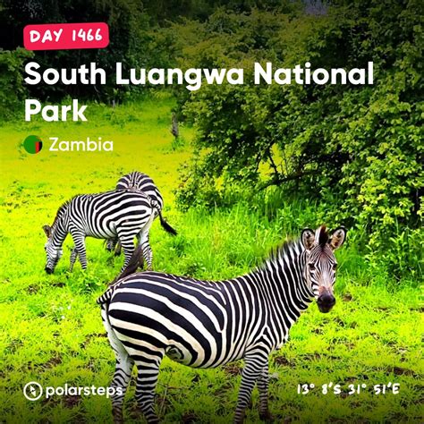 Mambwe Zambia Polarsteps