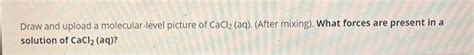 Solved Draw And Upload A Molecular Level Picture Of Cacl2