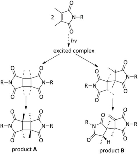 Polymers Special Issue Complex Macromolecular Architectures