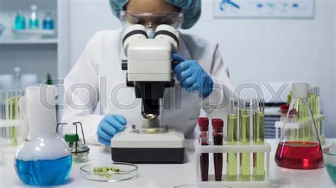 Female Laboratory Analyst Doing Stock Image Colourbox