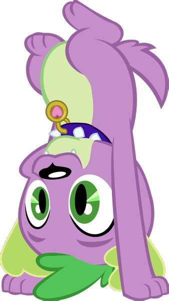 Mlp Spike Vector