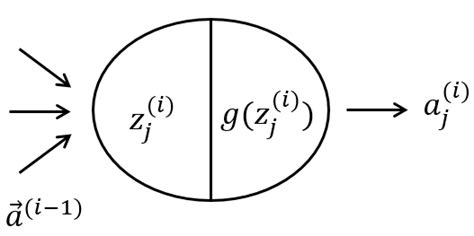 6 Schematic Of Single Node In Neural Network Download Scientific Diagram
