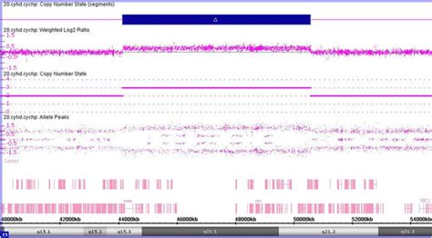 Affymetrix Cytoscan Hd Array Analysis Including Weighted Log2 Ratio
