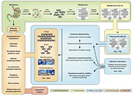 宏基因组测序分析（前言） 知乎