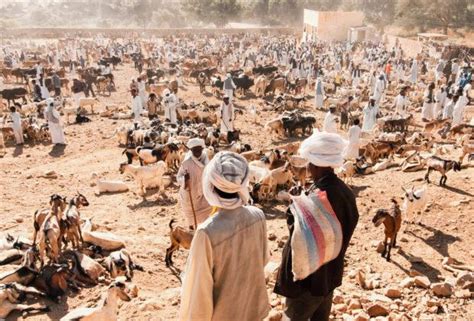 Andrea Moroni Author At African Arguments