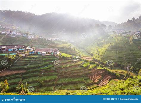 Village On Sri Lanka Stock Image Image Of Fishing Beach 280081293
