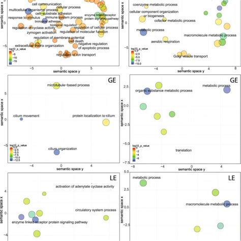 Scatterplot Representation Of Biological Process Go Terms In Semantic