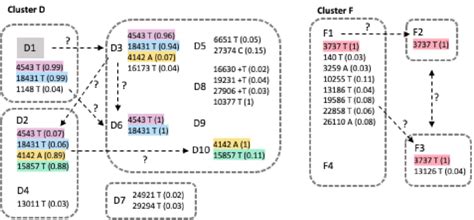 Shared Variants And Inferred Transmission Events For Clusters D And F
