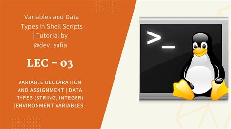 Variables And Data Types In Shell Scripts Tutorial By Devsafia Youtube