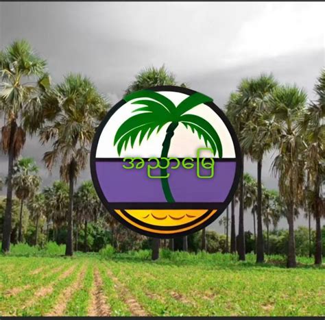 အာဇာနည် အကောင်းဆုံး တေးသီချင်းများ စုစည်းမှု Ye Lin Naing Facebook