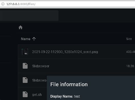 Minor Bug Filebrowser Reveals Real Name Of Root Protected Directory
