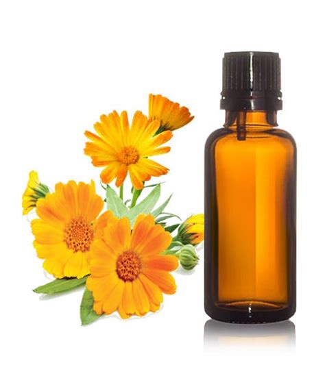 Calendula Oil Manufacturer Italy. Kamakhya Bottlers, a distinguished ...