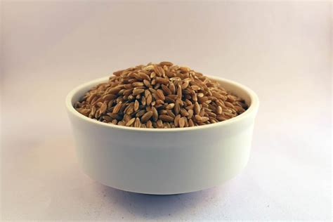 Organic Wheat Wholesale Price Mandi Rate For Organic Wheat In India
