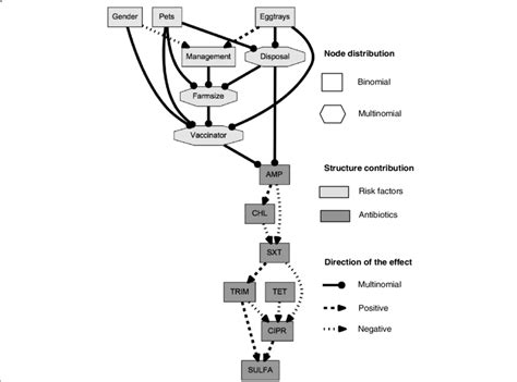 Final Bayesian Network Graph Presentation Of The Variables