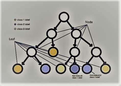 Basics Of Decision Tree In Python
