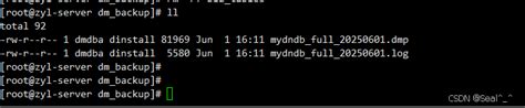 dm8逻辑导出工具dexpdp详解 达梦数据库dexp csdn博客
