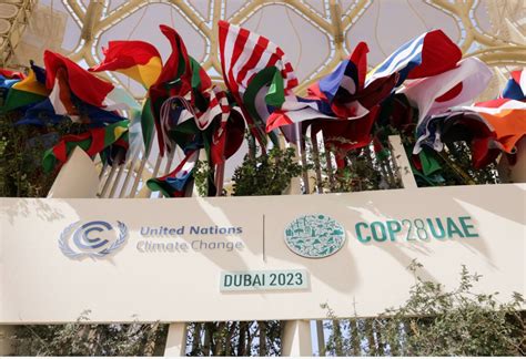 Strategy Hub Insights