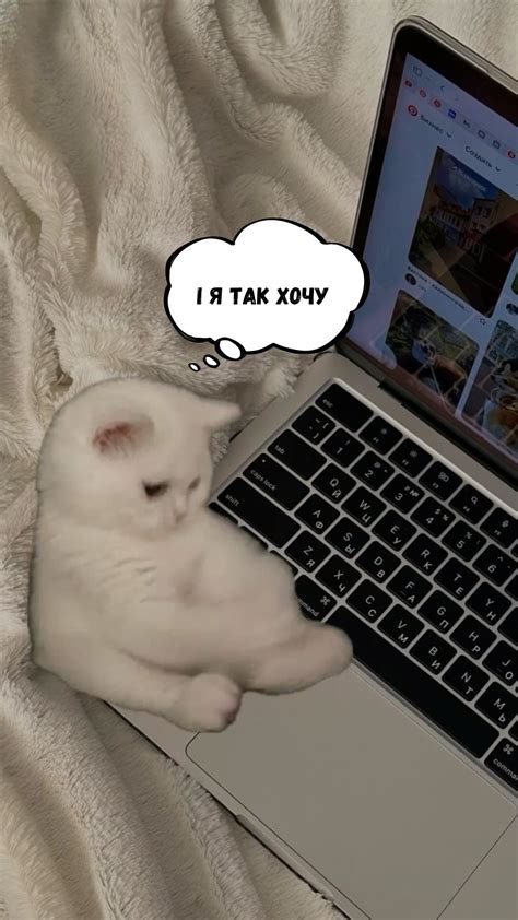 Тетяна 👩🏼‍💻Вчитель репетитор онлайн Блог про навчання Не тільки навчаємо та розвиваємо а і