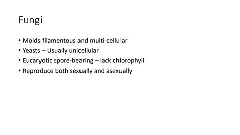 Solution Mycology Importance Important Characteristics Morphology