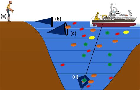 Sampling Approaches A Beach Sampling B Surface Sampling C Sub Surface