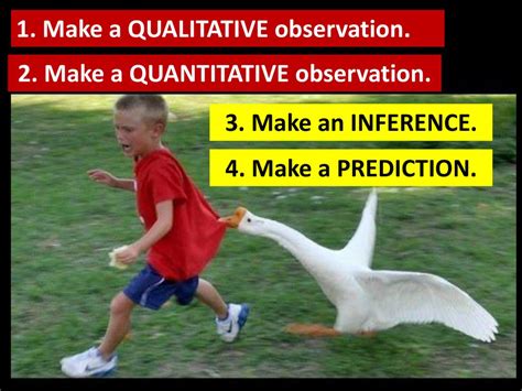 Ms Fegens Science Classroom Ppt Download
