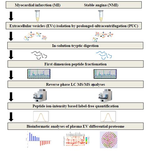 Plasma Derived Extracellular Vesicles Contain Predictive Biomarkers And