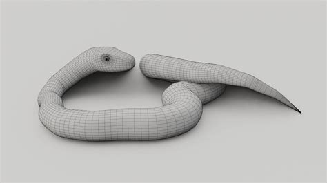 Python Snake 3d Model By Sathak