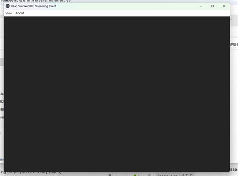 cannot connect to isaac sim on remote headless container isaac sim