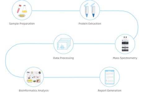 Single Molecule Protein Sequencing Service Mtoz Biolabs