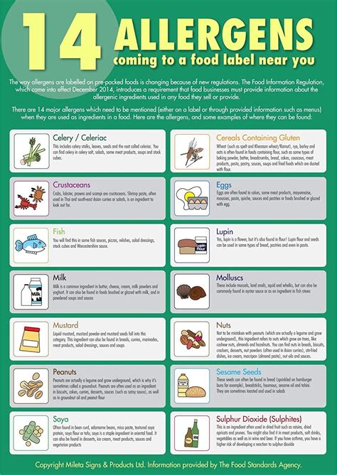 A3 420x297mm The 14 Allergens Poster Uk Office Products