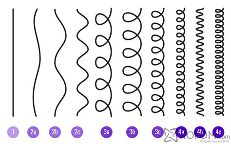 Нийт 10 төрлийн үс байдаг Төрөл болгонд өөрийн гэсэн тохирох арчилгаа