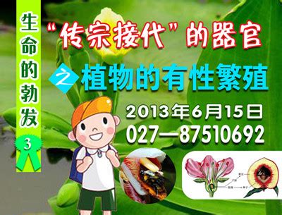 传宗接代的器官之植物的有性繁殖科普课堂预告 中国科学院