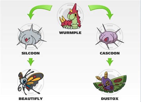 Wurmple Pokémon World of Bug Pokémon