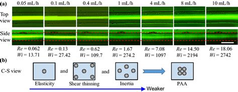 particle migration in the flow of 200 ppm paa solution strongly