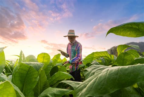 The Road To A Net Zero Food System