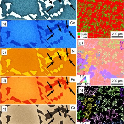 Microstructure Of The Alloy Immediately Before Deformation At 1100 °c Download Scientific