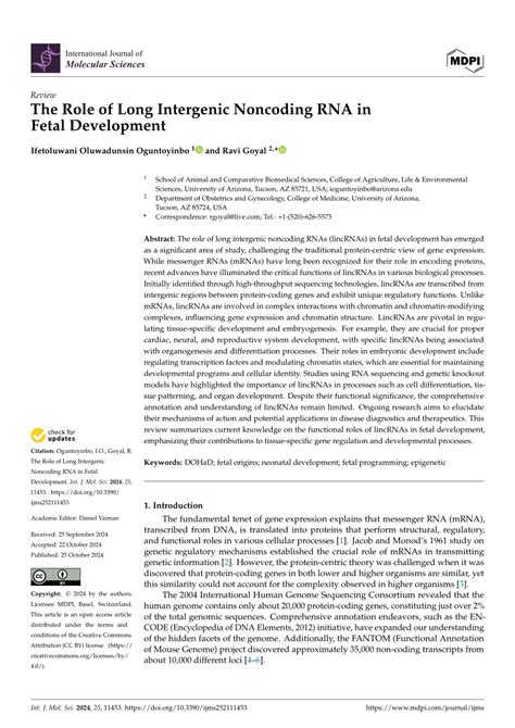Pdf The Role Of Long Intergenic Noncoding Rna In Fetal Development