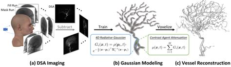 [论文审查] 4drgs 4d radiative gaussian splatting for efficient 3d vessel