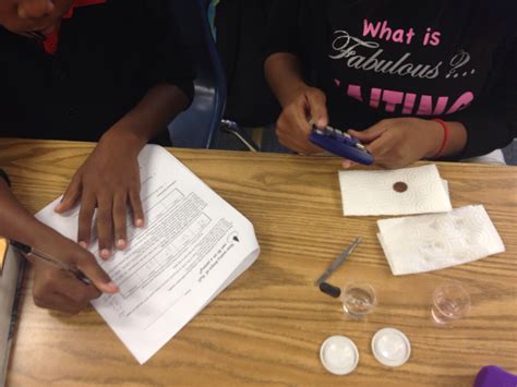 Math And Science With Ms K Penny Lab