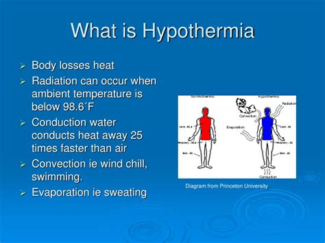 What Are The Effects Of Hypothermia The Chilling Effects Of