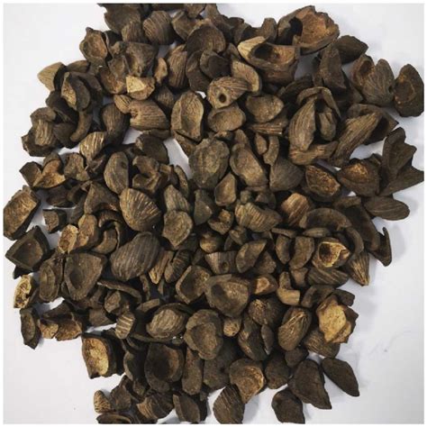 Palm Kernel Shell Steam Power