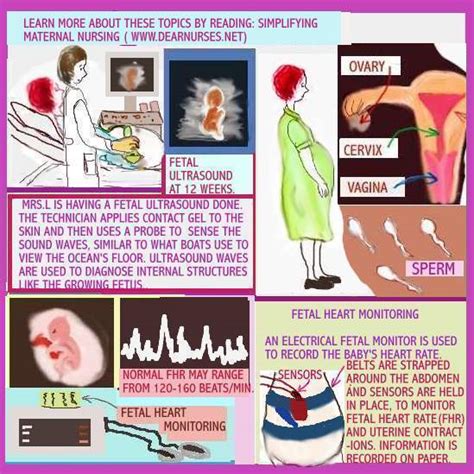 Dear Nurses Fetal Ultrasound And Fetal Monitoring