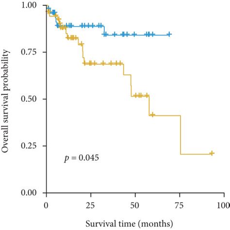 Prognostic Model Validation The Prognostic Efficacy Of This Model Was Download Scientific