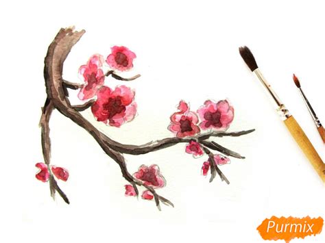Как нарисовать сакуру поэтапно 7 уроков