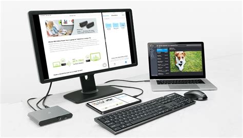 Use Keyboard For Mouse Mac