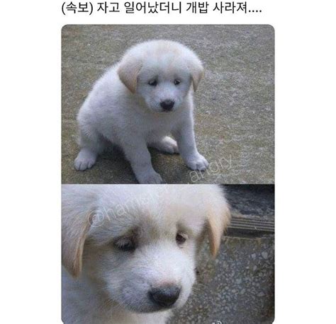 밥줄 끊어진 표정 에누리 쇼핑지식 자유게시판