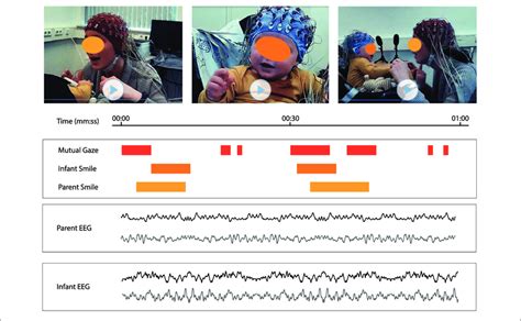 Synchronization Of Multimodal Data And Behavioral Coding Image Is